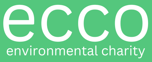 ecco.png enc – ecco